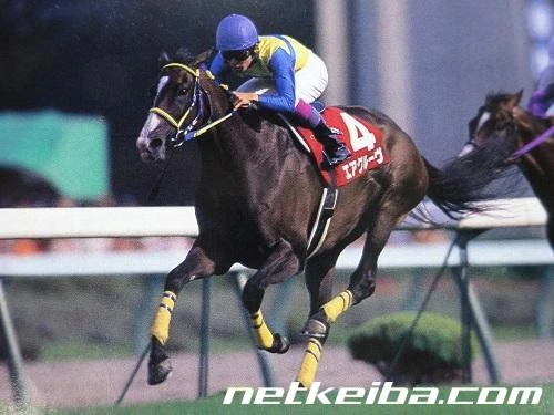 Air Groove/Real Life | Umamusume Wiki | Fandom