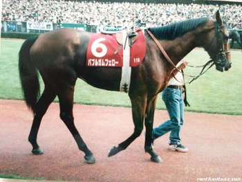 Bubble Gum Fellow | Uma Musume Wiki | Fandom