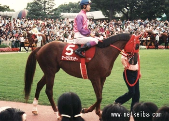 Marvelous Sunday | Uma Musume Wiki | Fandom