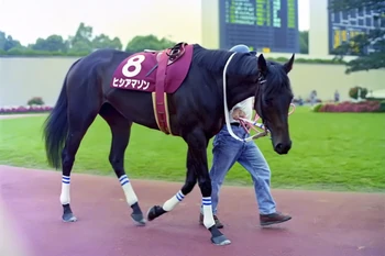 Hishi Amazon | Uma Musume Wiki | Fandom