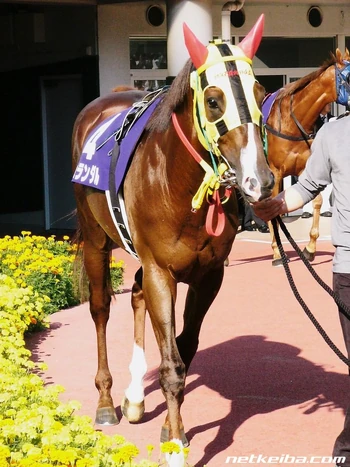 Durandal | Uma Musume Wiki | Fandom