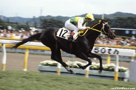 Mr. C.B./Real Life | Umamusume Wiki | Fandom