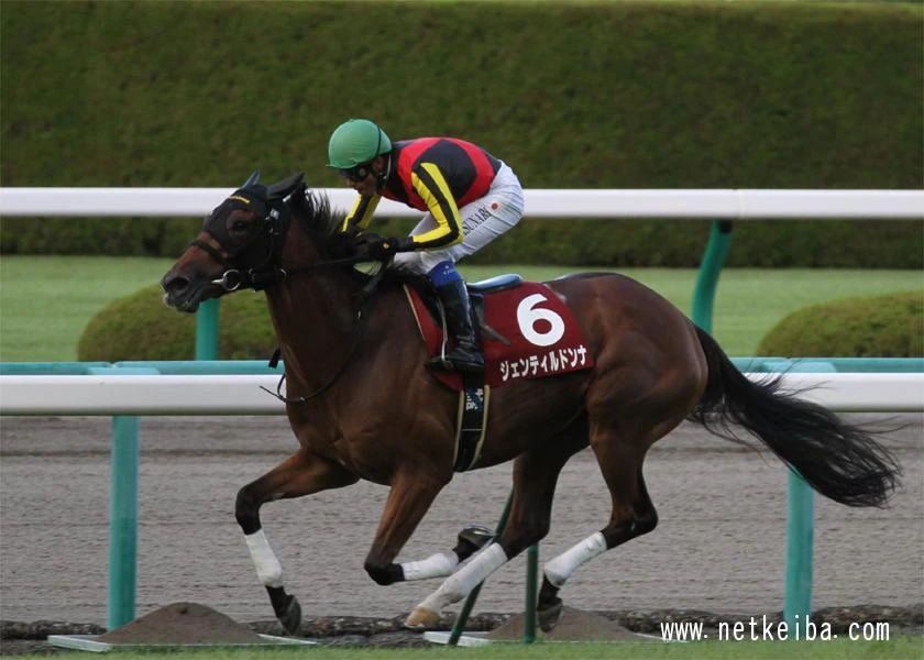 Gentildonna/Real Life | Umamusume Wiki | Fandom