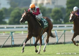 Aston Machan/Real Life | Umamusume Wiki | Fandom