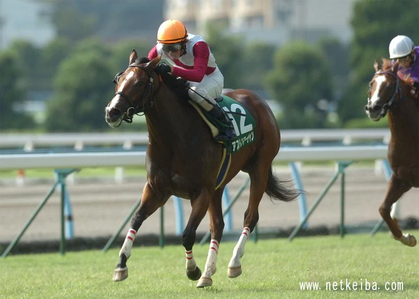 Aston Machan | Uma Musume Wiki | Fandom