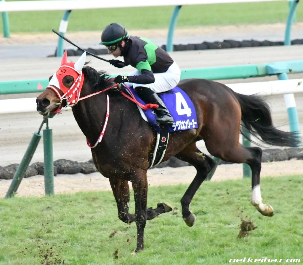 Loves Only You/Real Life | Umamusume Wiki | Fandom