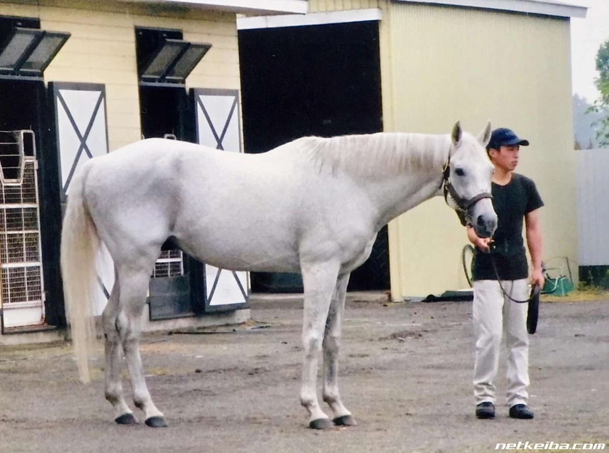 Oguri Cap/Real Life | Umamusume Wiki | Fandom