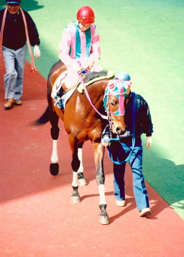 Samson Big/Real Life | Umamusume Wiki | Fandom