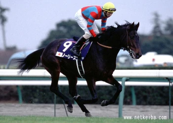 No Reason | Uma Musume Wiki | Fandom