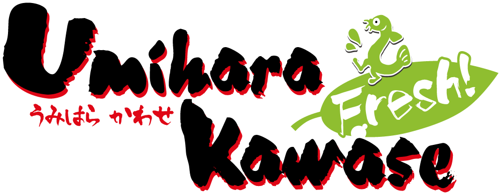 Umihara Kawase Fresh!/Gallery | Umihara Kawase Wiki | Fandom