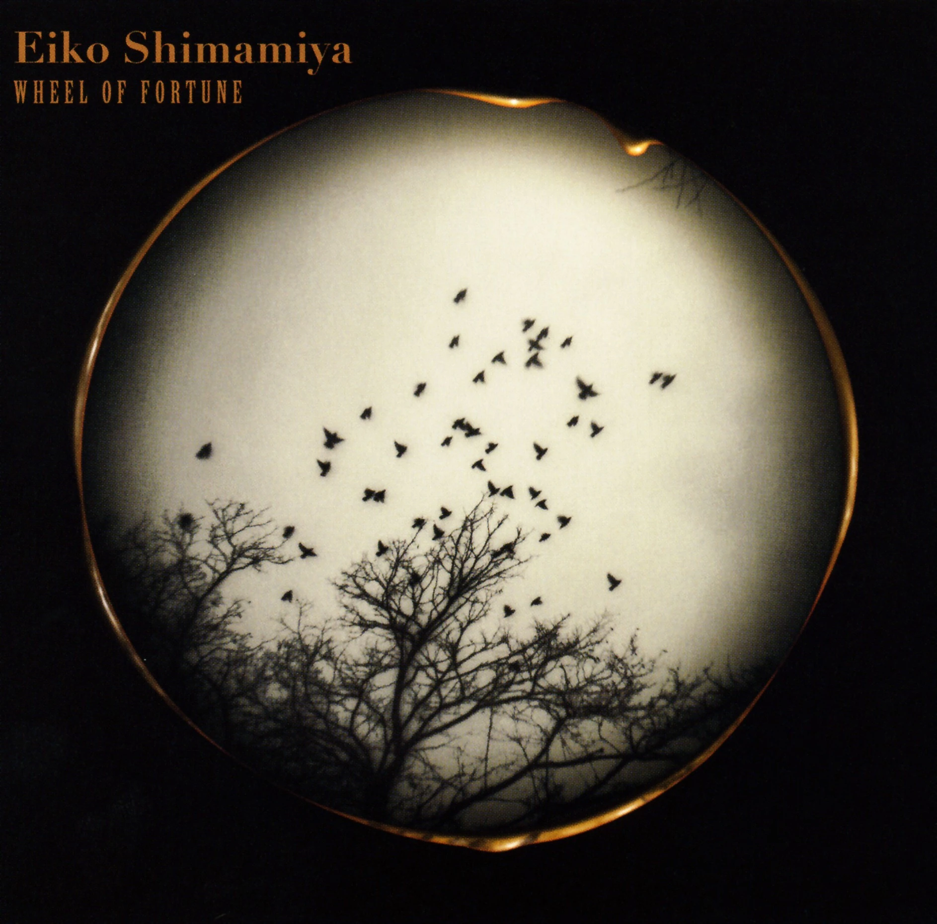 Diorama | 07th Expansion Wiki | Fandom