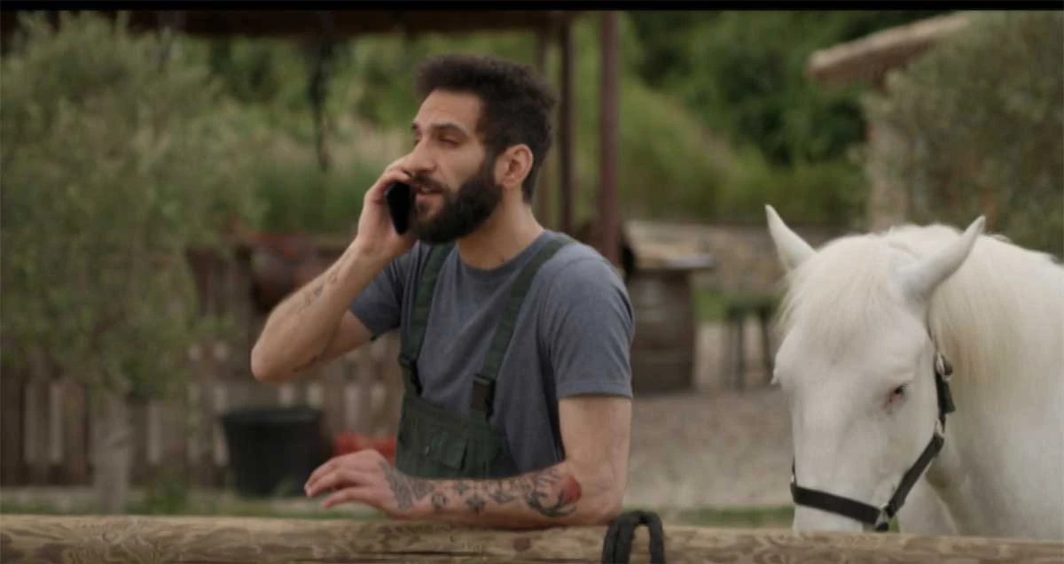 Ronan | Wiki Un si grand soleil | Fandom