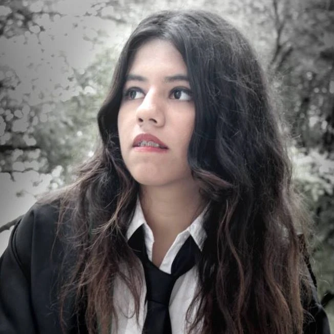 Namy Gaga | Un video para comentar Wiki | Fandom