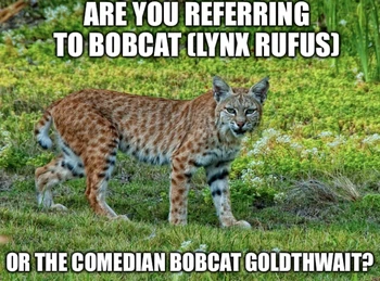 Lynxes | UnAnything Wiki | Fandom