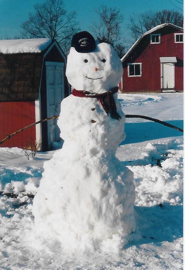 Snowmen | UnAnything Wiki | Fandom