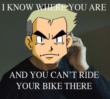 Pokemon Meme Professor Oak