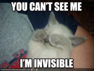 Invisible Cat | UnAnything Wiki | Fandom