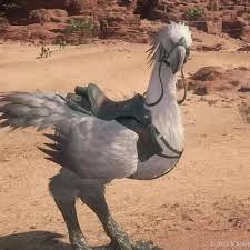 Chocobo | UnAnything Wiki | Fandom