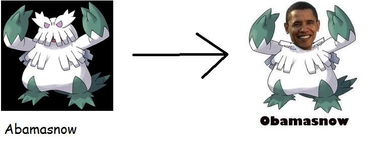 Obamasnow