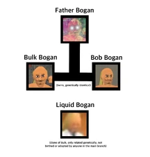 Category:Bogan Family | UnAnything Wiki | Fandom