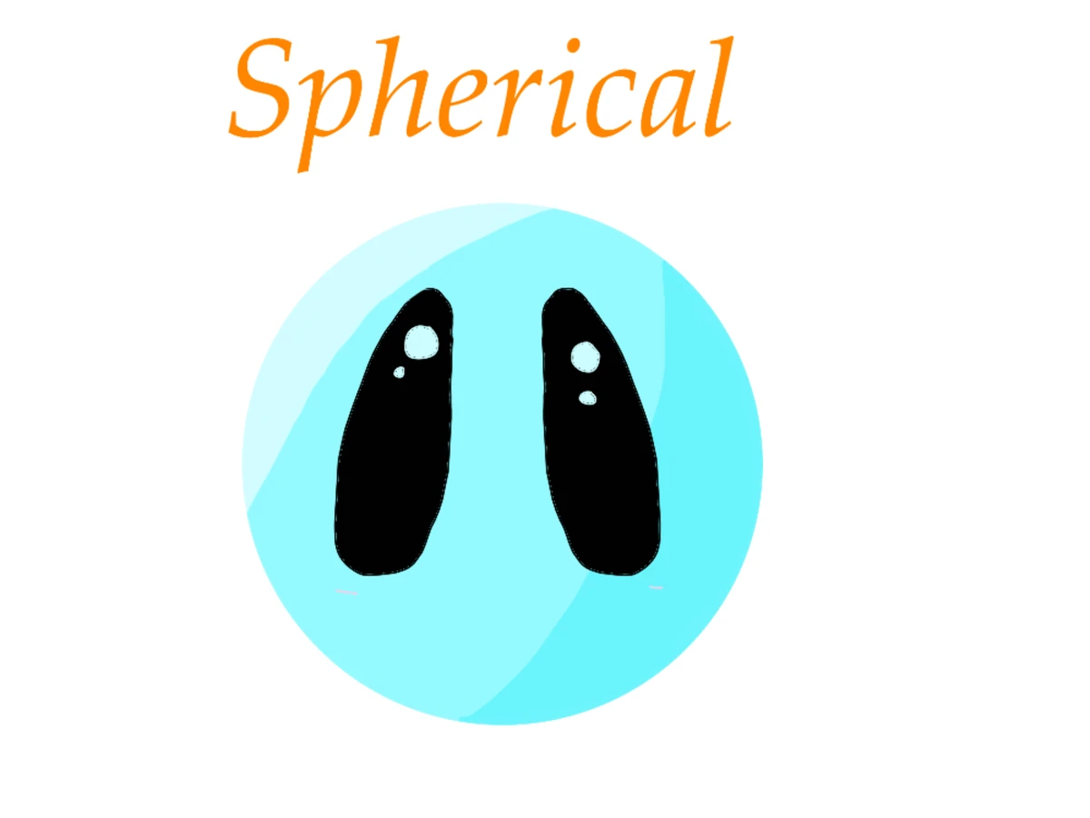 Spherical | Unappreciated Pokémon Wiki | Fandom