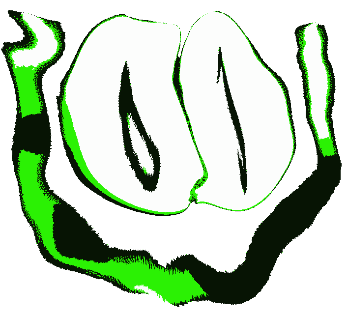 XE-35 | Unboxing stuff Wiki | Fandom