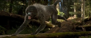 Monkey | Unbreakable Wiki | Fandom