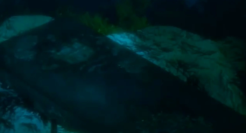 Francis Drake's Sarg | Uncharted Wiki | Fandom