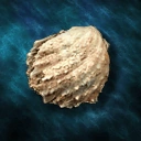 Shell | Official Uncharted Waters Wiki | Fandom