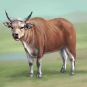 Cow-like animals map | Official Uncharted Waters Wiki | Fandom