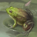 Paradoxical Frog | Official Uncharted Waters Wiki | Fandom