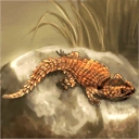 A Rolled-Up Lizard | Official Uncharted Waters Wiki | Fandom