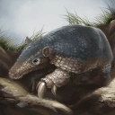 Giant Armadillo | Official Uncharted Waters Wiki | Fandom
