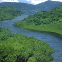 The Chagres River | Official Uncharted Waters Wiki | Fandom