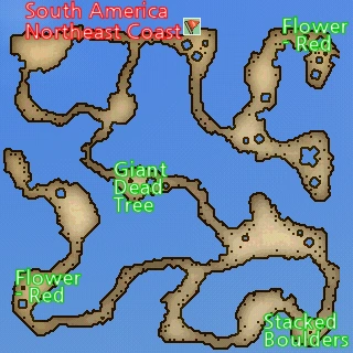 South America Northeast Coast | Official Uncharted Waters Wiki | Fandom