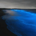 Noctiluca | Official Uncharted Waters Wiki | Fandom