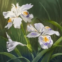 Short-lived Flower | Official Uncharted Waters Wiki | Fandom