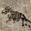 Bones Half Dragon Half Fish | Official Uncharted Waters Wiki | Fandom