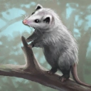 Marsupial animals map | Official Uncharted Waters Wiki | Fandom