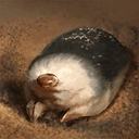 Animals Living Underground | Official Uncharted Waters Wiki | Fandom