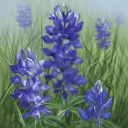 Blue Small Flower Map | Official Uncharted Waters Wiki | Fandom