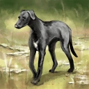 Map of a Slim Hunting Dog | Official Uncharted Waters Wiki | Fandom