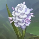 Crafted flower map | Official Uncharted Waters Wiki | Fandom