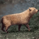 Bush Dog | Official Uncharted Waters Wiki | Fandom