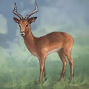 Deer-like animals map | Official Uncharted Waters Wiki | Fandom