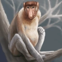 Proboscis Monkey | Official Uncharted Waters Wiki | Fandom