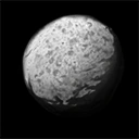 Pallas | Official Uncharted Waters Wiki | Fandom