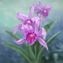 Violet flower map | Official Uncharted Waters Wiki | Fandom