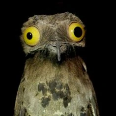 Uncle Poooopoooo | Unclism Wikia | Fandom