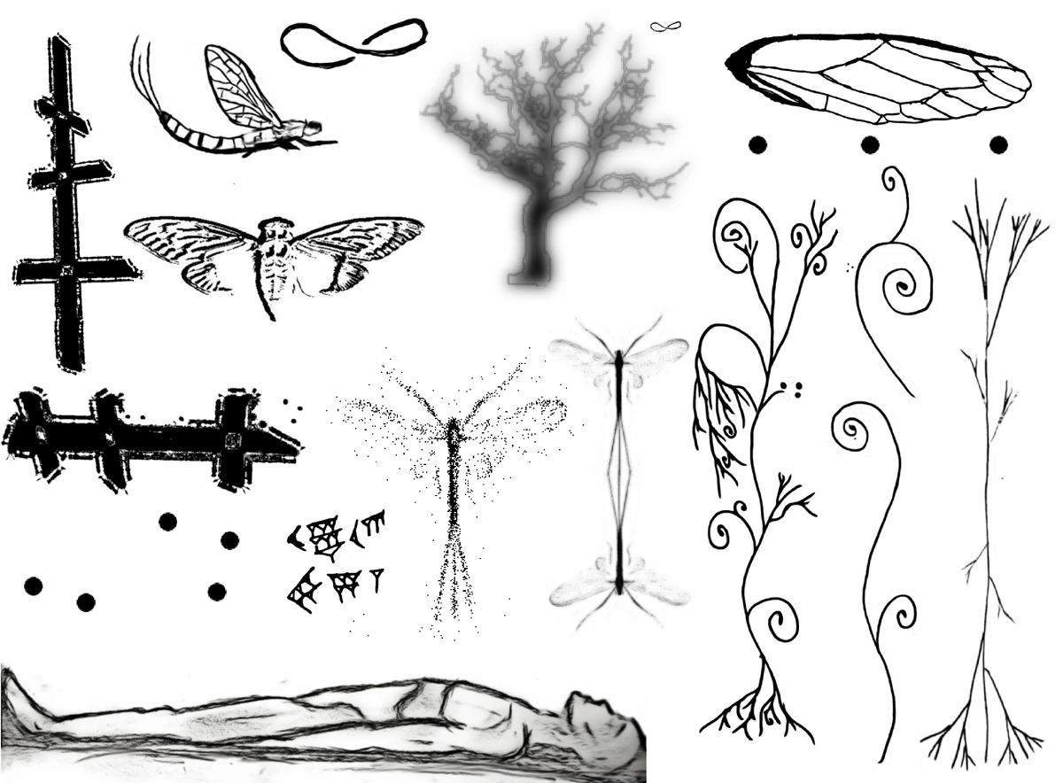 What Happened Liber Primus (Post 2014) | Uncovering Cicada Wiki | Fandom